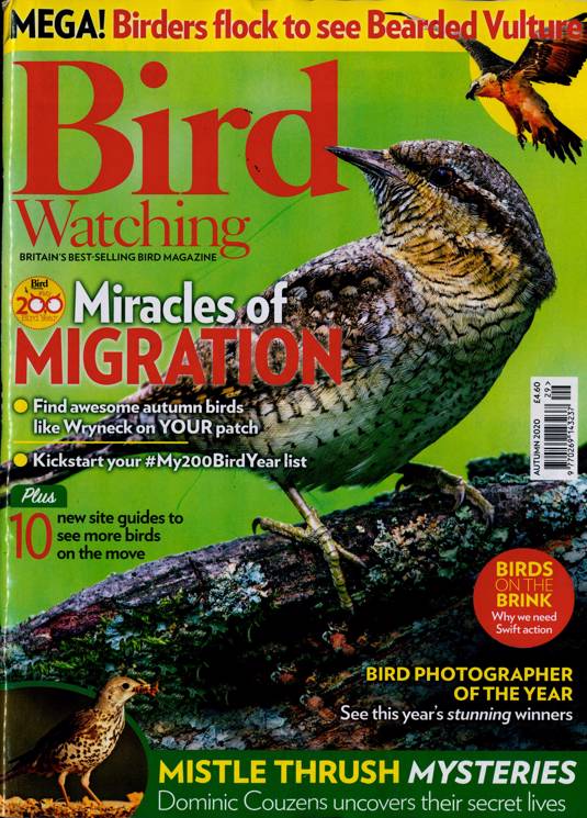 Bird Watching Magazine Subscription | Buy at Newsstand.co.uk | Birds