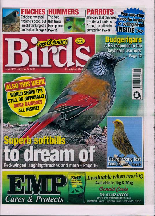 Cage And Aviary Birds Magazine Subscription | Buy at Newsstand.co.uk ...