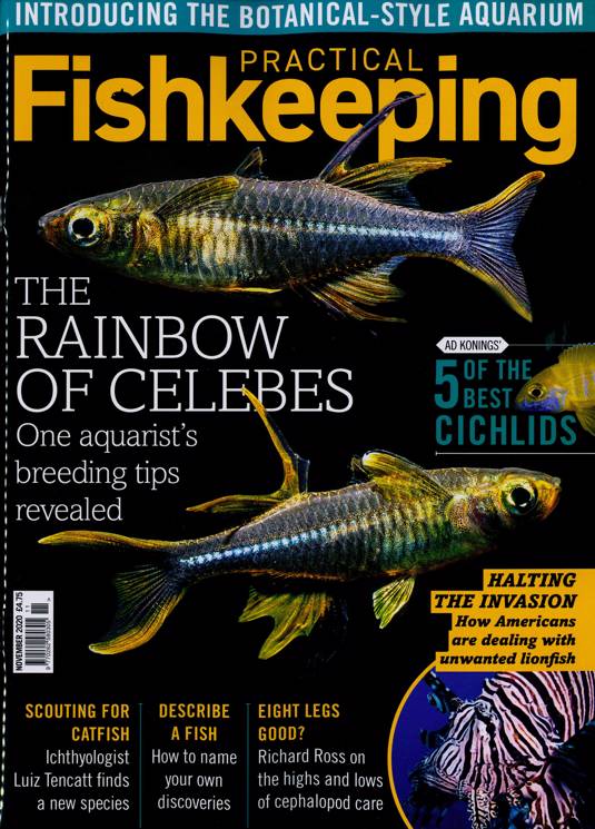 Practical Fishkeeping Magazine Subscription | Buy at Newsstand.co.uk | Fish