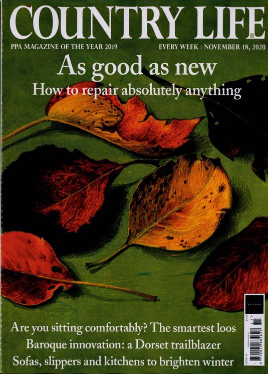 Country Life Magazine Subscription | Buy at Newsstand.co.uk | Countryside