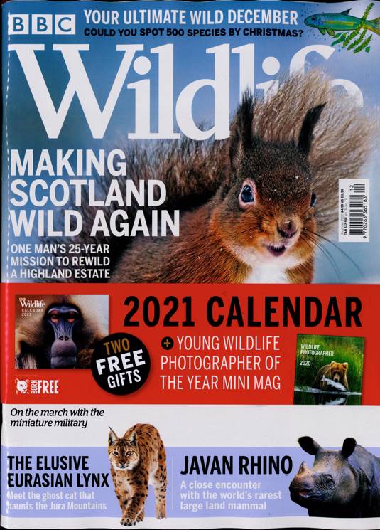 Bbc Wildlife Magazine Subscription | Buy at Newsstand.co.uk | Wildlife