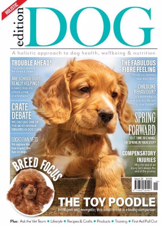 Edition Dog Magazine Subscription | Buy at Newsstand.co.uk | Dogs