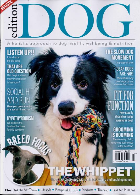 Edition Dog Magazine Subscription | Buy at Newsstand.co.uk | Dogs