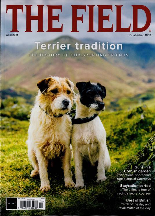Field Magazine Subscription | Buy at Newsstand.co.uk | Countryside
