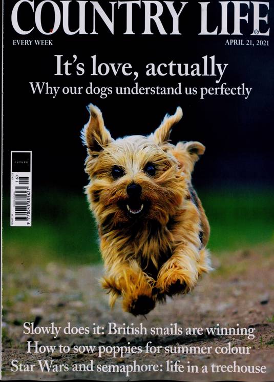 Country Life Magazine Subscription | Buy at Newsstand.co.uk | Countryside
