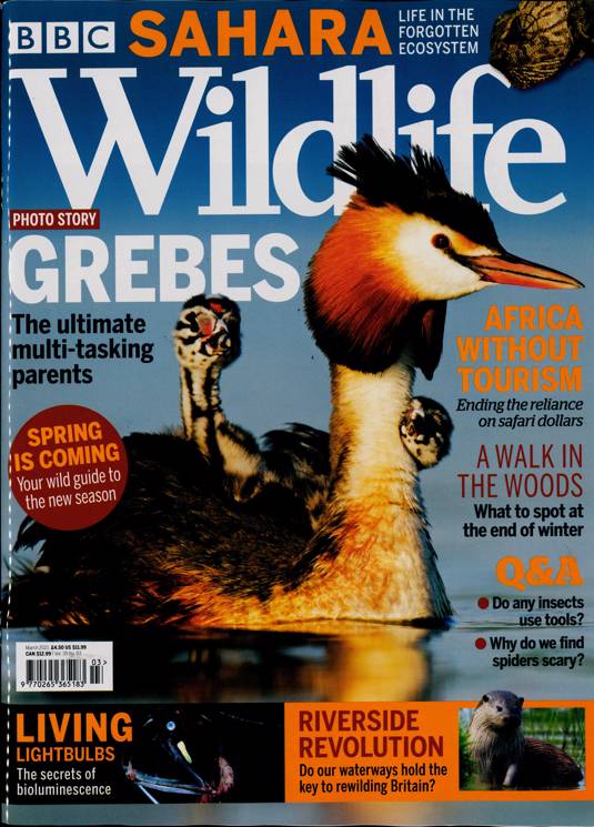 Bbc Wildlife Magazine Subscription | Buy at Newsstand.co.uk | Wildlife