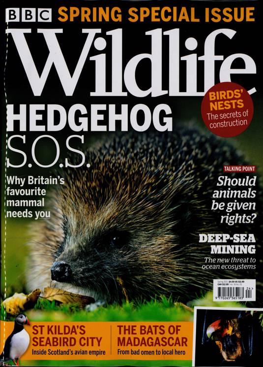 Bbc Wildlife Magazine Subscription | Buy at Newsstand.co.uk | Wildlife
