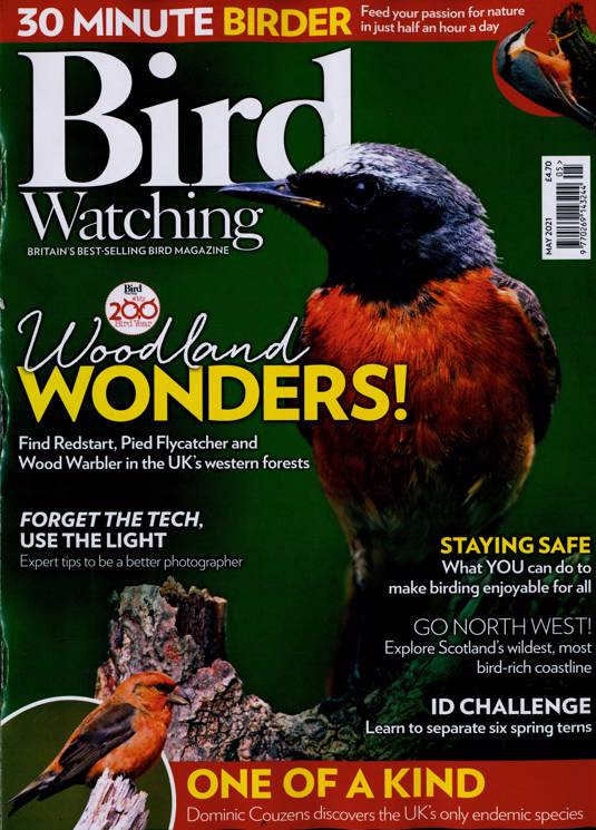Bird Watching Magazine Subscription | Buy at Newsstand.co.uk | Birds