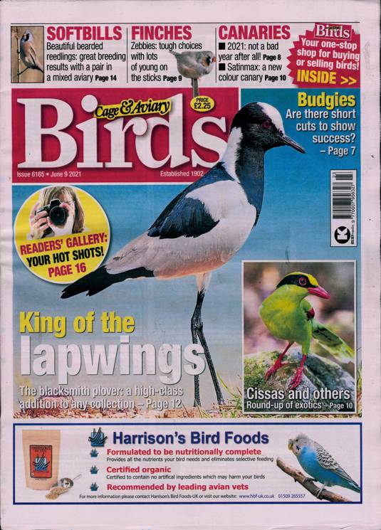 Cage And Aviary Birds Magazine Subscription | Buy at Newsstand.co.uk ...