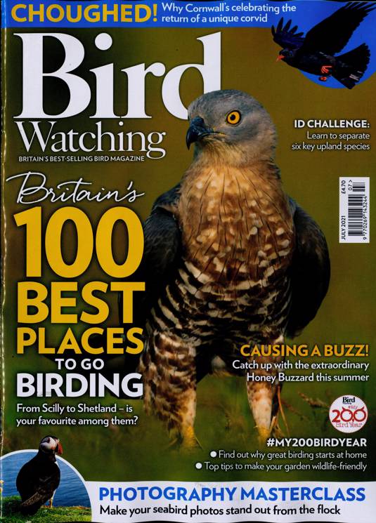 Bird Watching Magazine Subscription | Buy at Newsstand.co.uk | Birds
