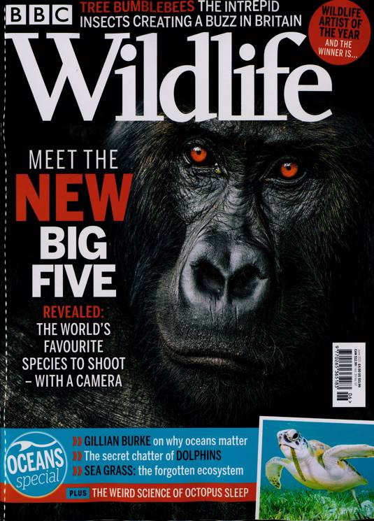 Bbc Wildlife Magazine Subscription | Buy at Newsstand.co.uk | Wildlife