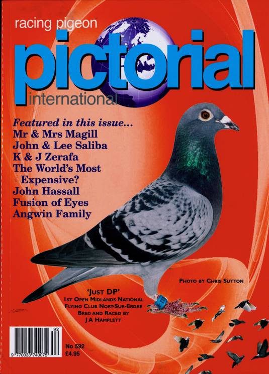 Racing Pigeon Pictorial Magazine Subscription | Buy at Newsstand.co.uk ...