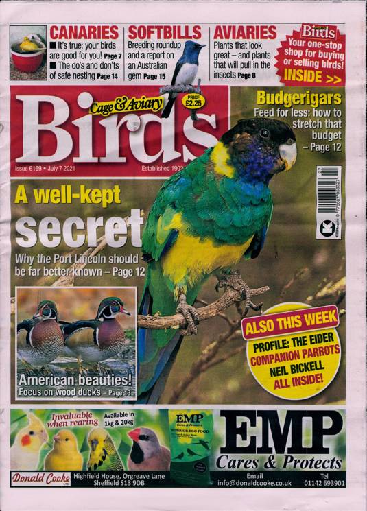 Cage And Aviary Birds Magazine Subscription | Buy at Newsstand.co.uk ...