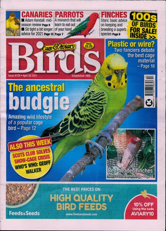 Cage And Aviary Birds Magazine Subscription | Buy at Newsstand.co.uk ...