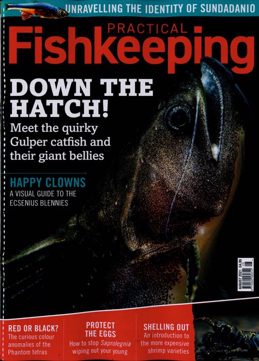 Practical Fishkeeping Magazine Subscription | Buy at Newsstand.co.uk | Fish