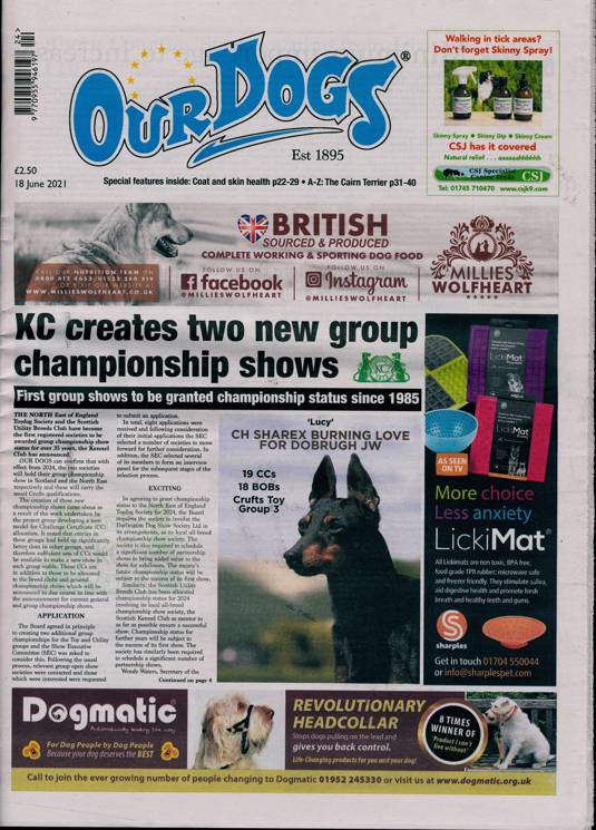 Our Dogs Magazine Subscription | Buy at Newsstand.co.uk | Dogs