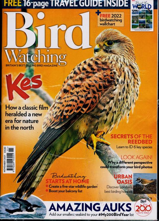 Bird Watching Magazine Subscription | Buy at Newsstand.co.uk | Birds