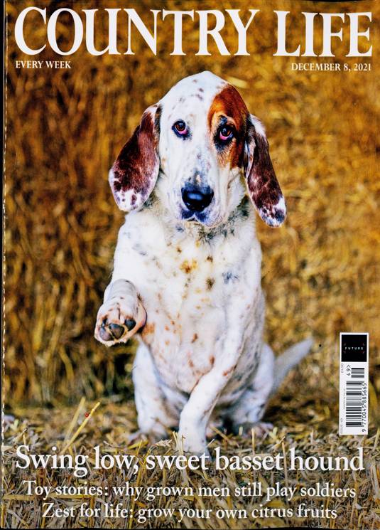 Country Life Magazine Subscription | Buy at Newsstand.co.uk | Countryside