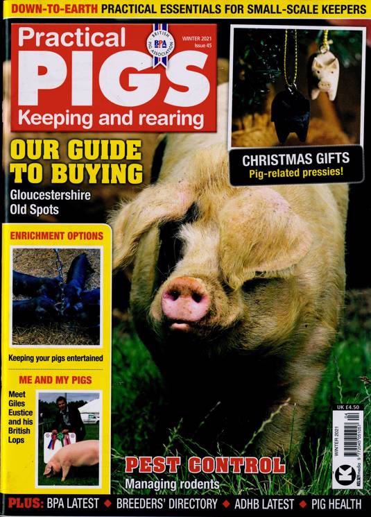 Practical Pigs Magazine Subscription | Buy at Newsstand.co.uk | Self ...