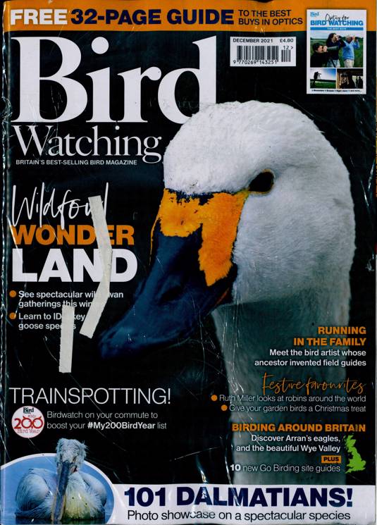 Bird Watching Magazine Subscription | Buy at Newsstand.co.uk | Birds