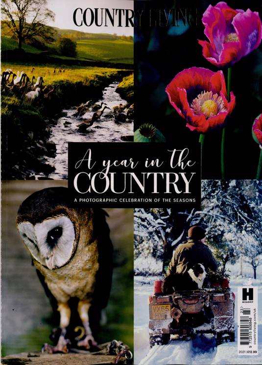 Country Living Modern Rustic Magazine Subscription | Buy at Newsstand ...