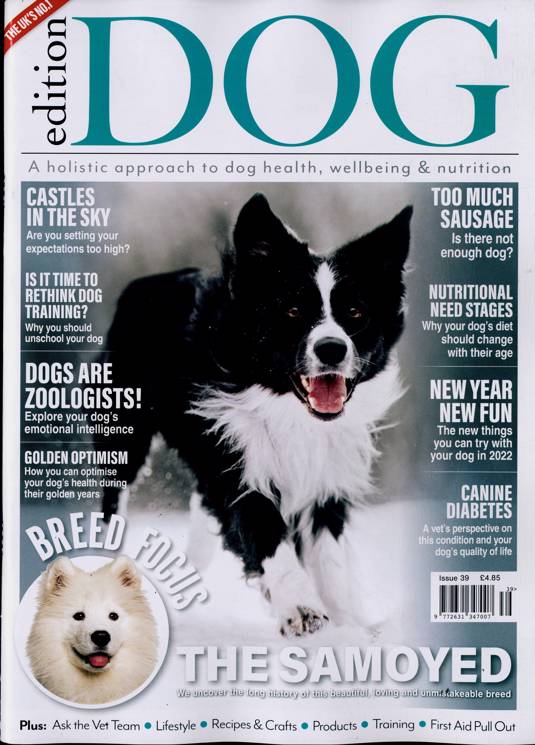 Edition Dog Magazine Subscription | Buy at Newsstand.co.uk | Dogs