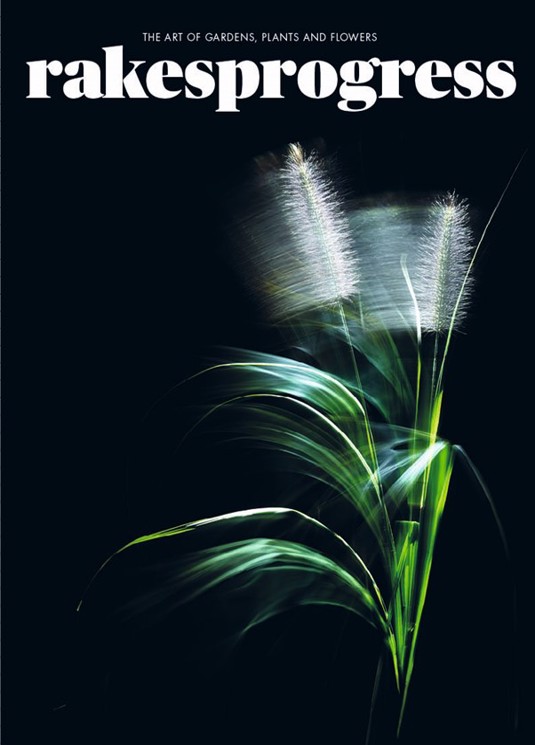 Rakesprogress Magazine Subscription | Buy at Newsstand.co.uk | Gardening