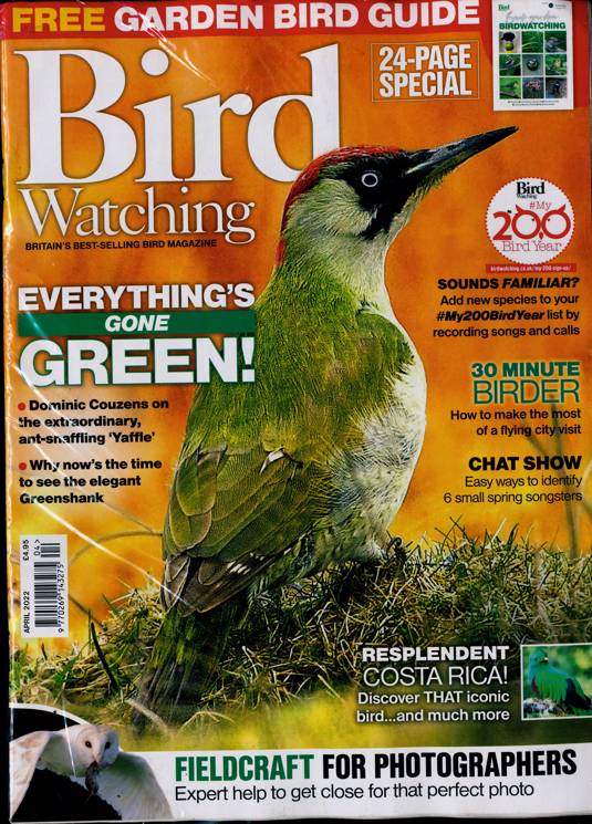 Bird Watching Magazine Subscription | Buy at Newsstand.co.uk | Birds