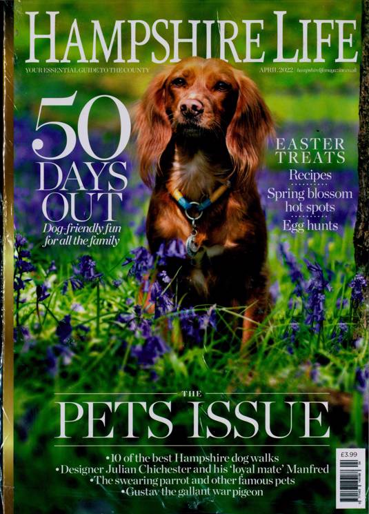 Hampshire Life Magazine Subscription | Buy at Newsstand.co.uk | Regional
