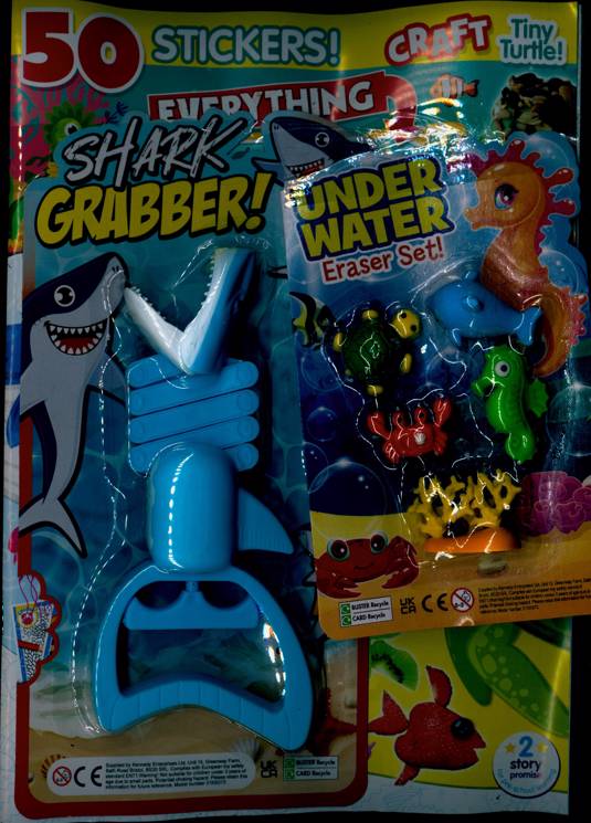 Everything Magazine Subscription | Buy at Newsstand.co.uk | Pre School