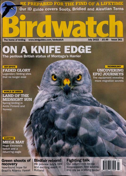 Birdwatch Magazine Subscription | Buy at Newsstand.co.uk | Birds