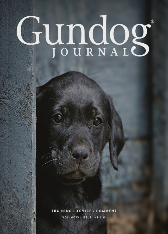 Gundog Journal Magazine Subscription | Buy at Newsstand.co.uk | Dogs