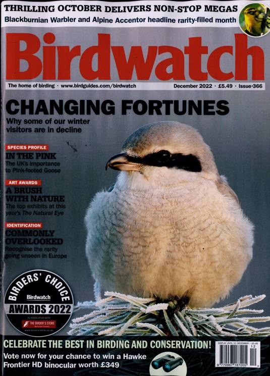Birdwatch Magazine Subscription | Buy at Newsstand.co.uk | Birds