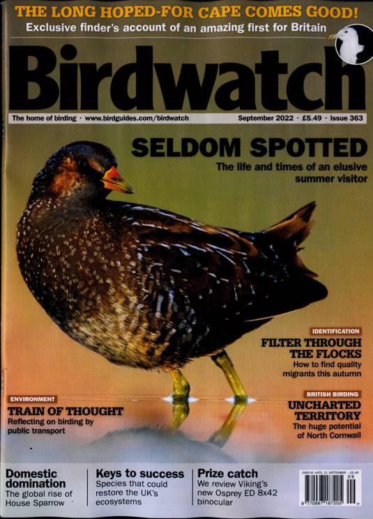 Birdwatch Magazine Subscription | Buy at Newsstand.co.uk | Birds