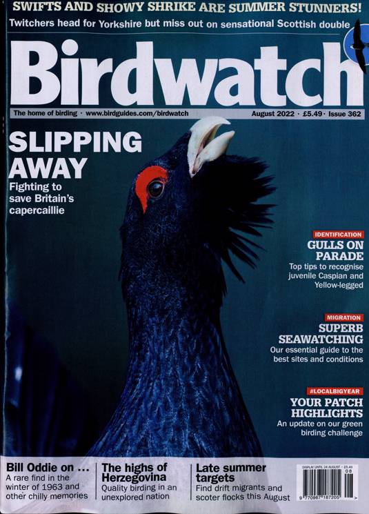 Birdwatch Magazine Subscription | Buy at Newsstand.co.uk | Birds