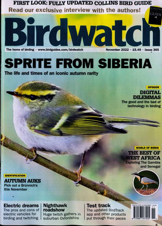 Birdwatch Magazine Subscription | Buy at Newsstand.co.uk | Birds