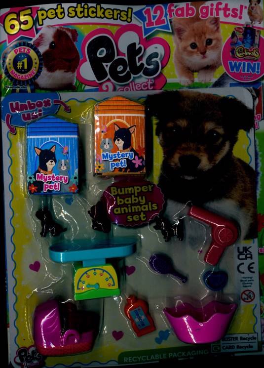 Pets 2 Collect Magazine Subscription | Buy at Newsstand.co.uk | Primary ...