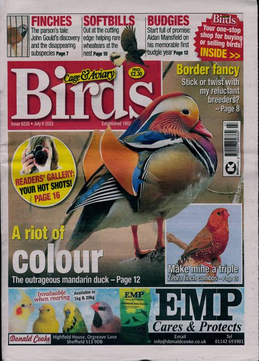Cage And Aviary Birds Magazine Subscription | Buy at Newsstand.co.uk ...