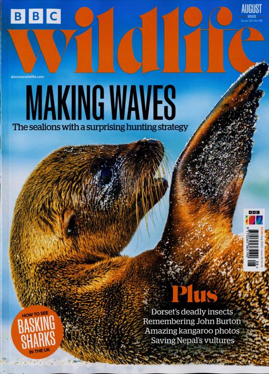 Bbc Wildlife Magazine Subscription | Buy at Newsstand.co.uk | Wildlife