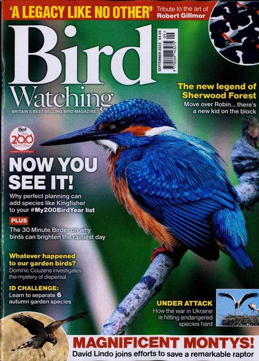 Bird Watching Magazine Subscription | Buy at Newsstand.co.uk | Birds