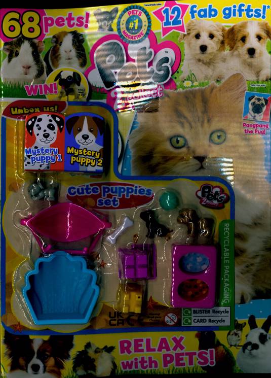 Pets 2 Collect Magazine Subscription | Buy at Newsstand.co.uk | Primary ...