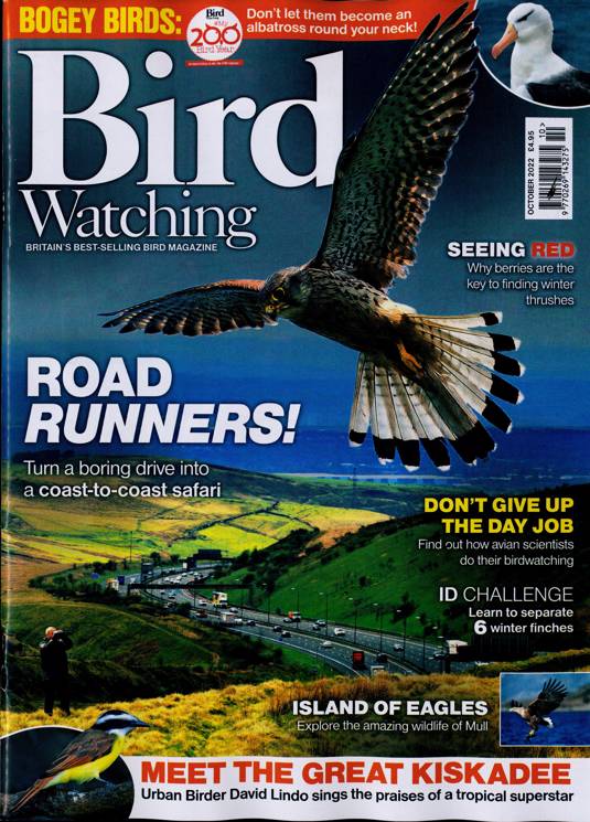 Bird Watching Magazine Subscription | Buy at Newsstand.co.uk | Birds