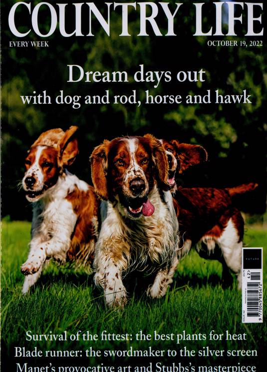 Country Life Magazine Subscription | Buy at Newsstand.co.uk | Countryside
