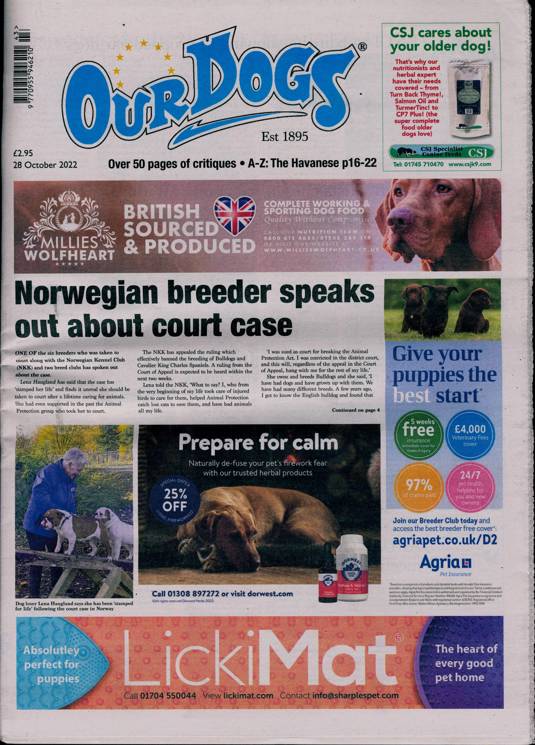 Dog Newspaper