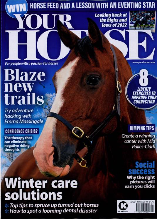 The Horse Magazine
