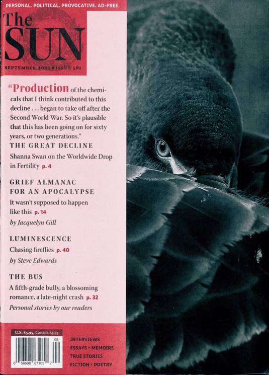 The Sun Magazine Subscription | Buy at Newsstand.co.uk | US / American