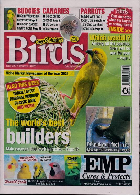 Cage And Aviary Birds Magazine Subscription | Buy at Newsstand.co.uk ...