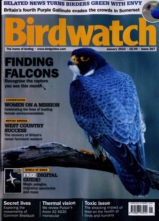 Birdwatch Magazine Subscription | Buy at Newsstand.co.uk | Birds