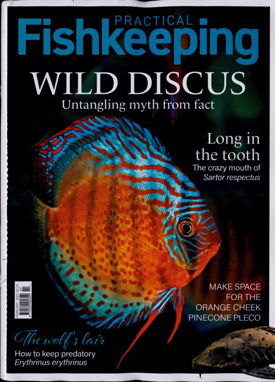 Practical Fishkeeping Magazine Subscription | Buy at Newsstand.co.uk | Fish