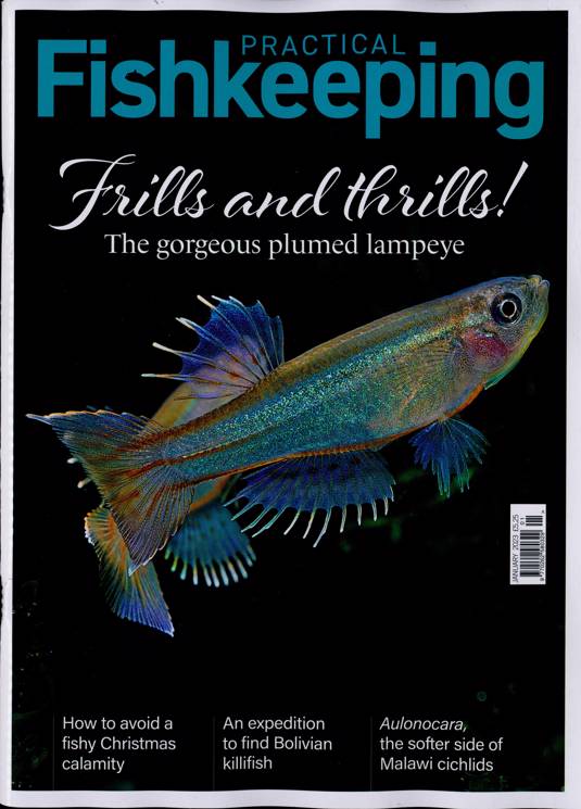 Practical Fishkeeping Magazine Subscription | Buy at Newsstand.co.uk | Fish